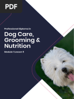 Planner Bundle - Wolfie Designs | PDF