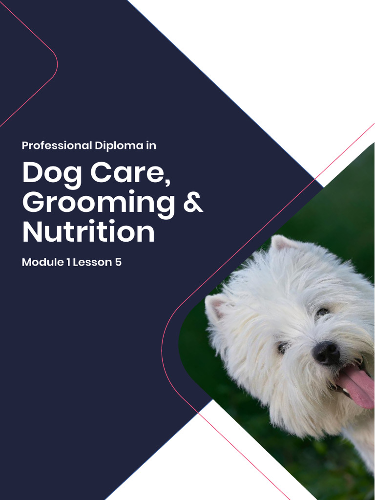 Dog_Care_Module_1_Lesson_5_Summary_Notes | PDF | Fur | Dogs