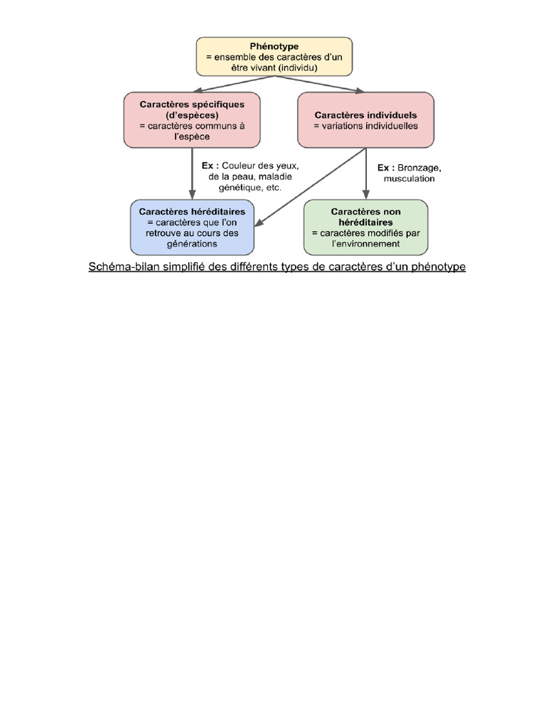 ct_II_A_schema_corr | PDF