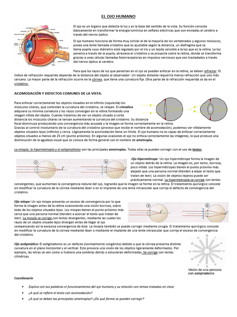 El Ojo Humano | PDF | Ojo humano | Miopía