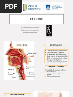 Anatomía y Fisiología de La Rinofaringe, Orofaringe e Hipofaringe | PDF ...