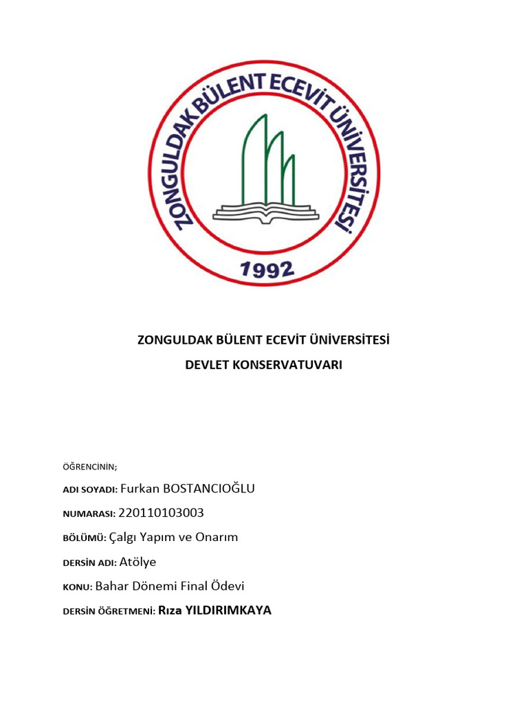 Bahar Donemi Atolye Dersi Final Odevi | PDF