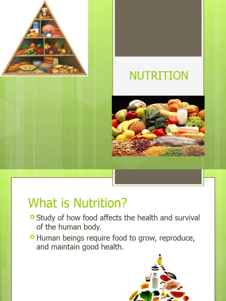 Nutrition | PDF