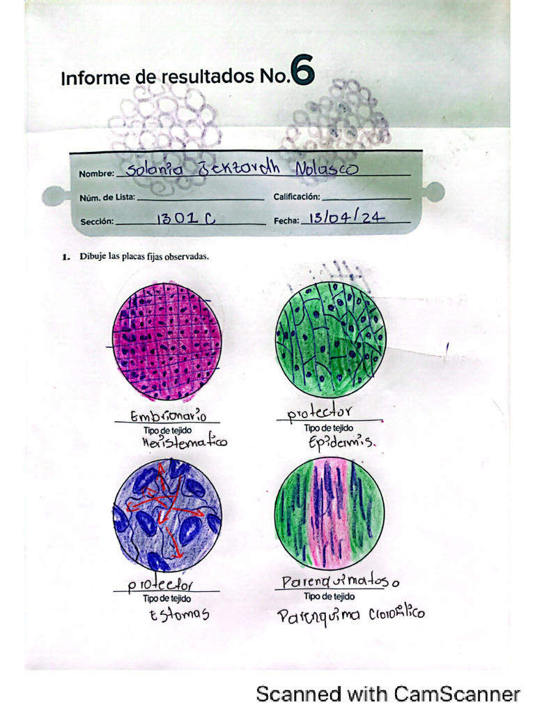 Prácticas de lab de biología | PDF
