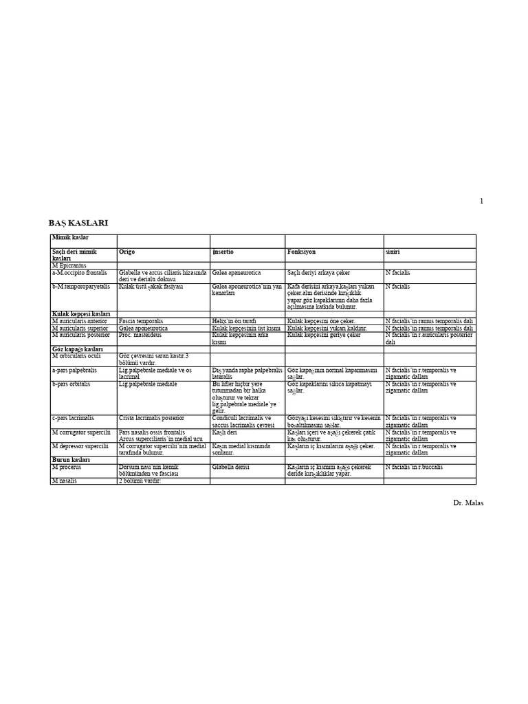 Kaslar 230728 132132 | PDF