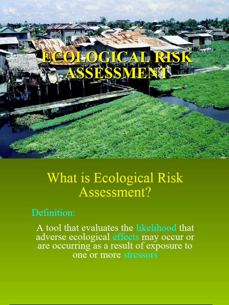 Ecological Risk Assessment Guide | PDF | Risk | Environmental Impact ...