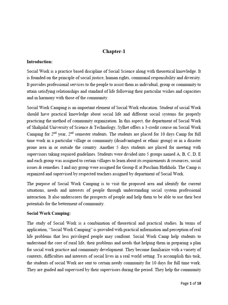 Project Report Final Pdf Social Work Learning