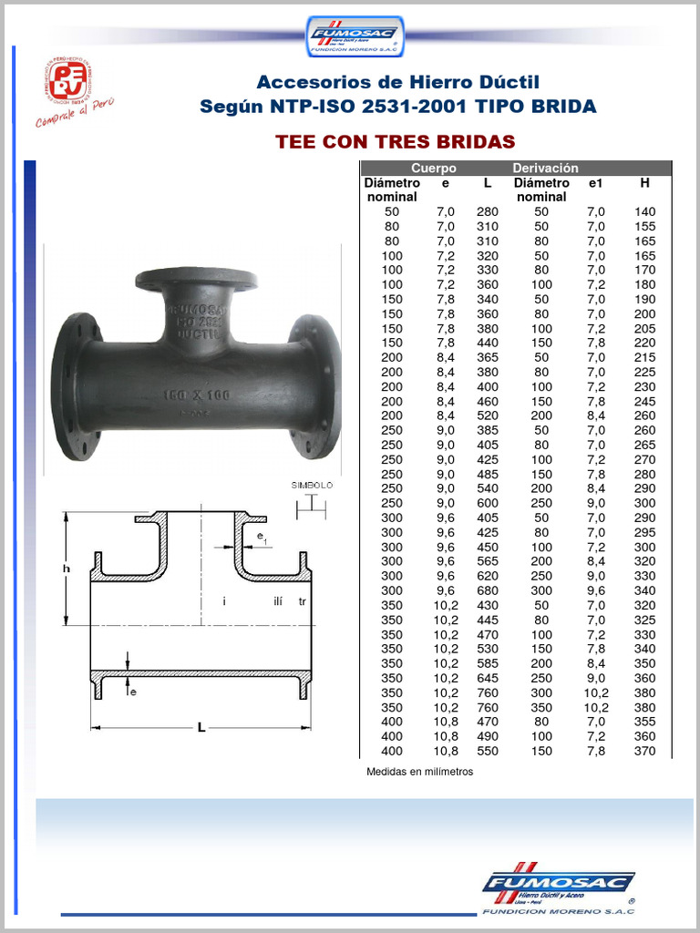 10.1 Tee Brida | PDF