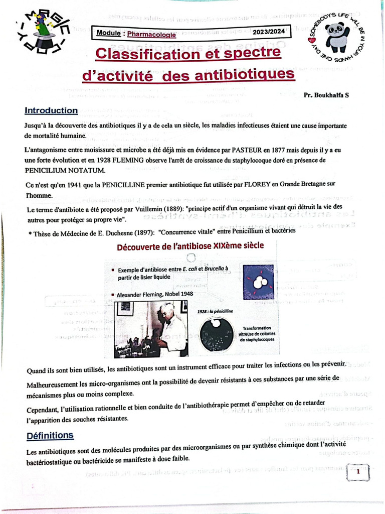 Classification Et Spectre D Activité Des Antibiotiques | PDF