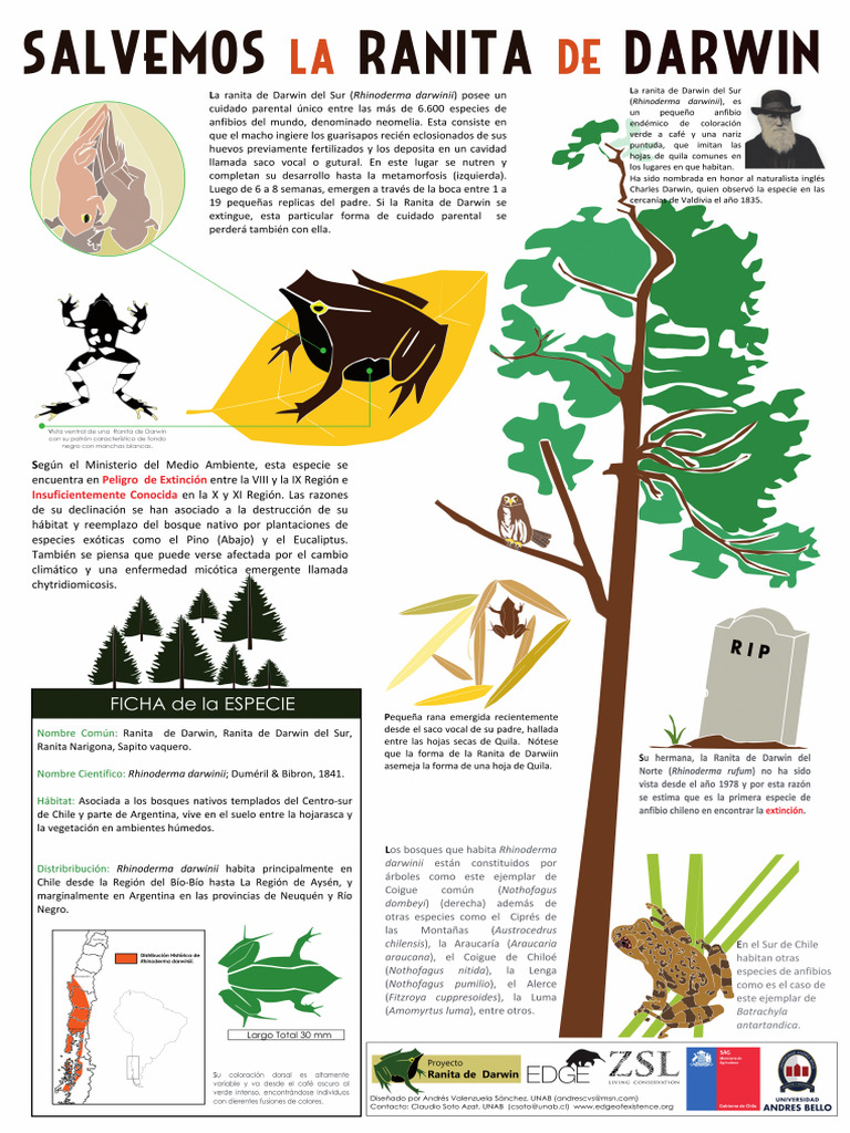 salvemos_la_ranita_de_darwin | PDF