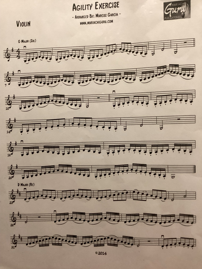 Agility Warm-Up | PDF