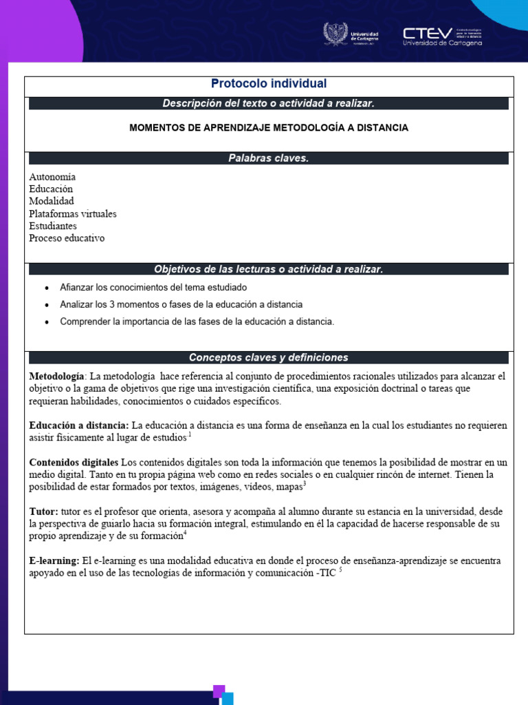 PLANTILLA PROTOCOLO INDIVIDUAL Mead 2 | PDF | Educación a distancia | Aprendizaje