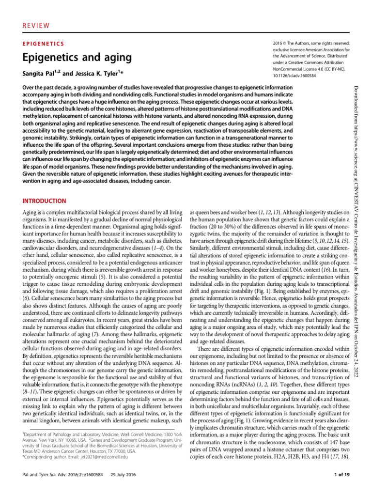 Epigenetics and Aging | Download Free PDF | Epigenetics | Histone