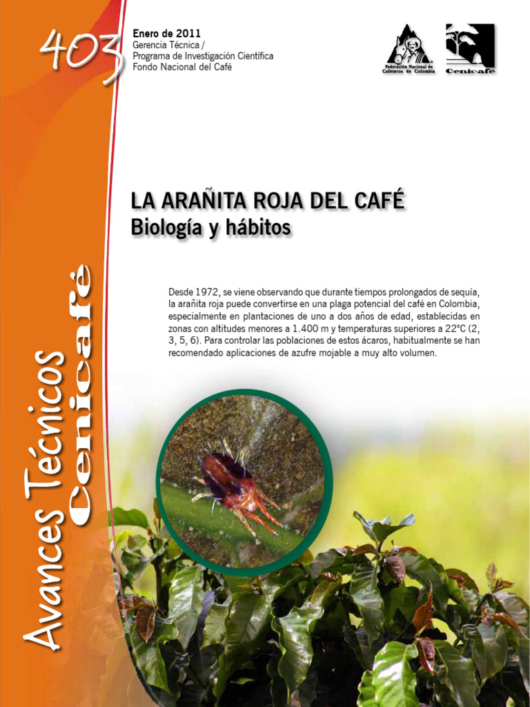Avt 0403 | PDF | Hoja | café