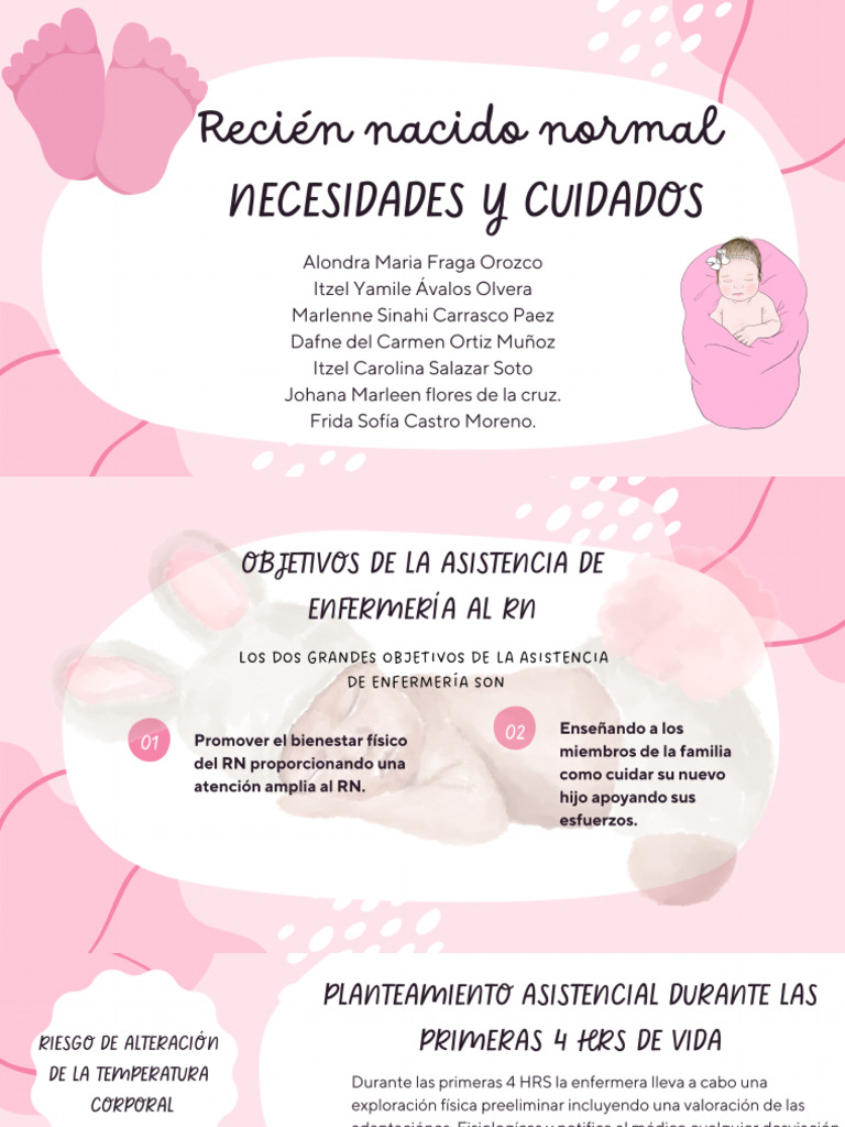 Recién Nacido Normal Necesidades y Cuidados | PDF
