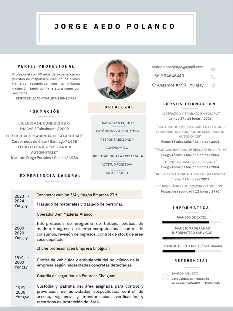 CV - Jorge Aedo Polanco PDF | PDF