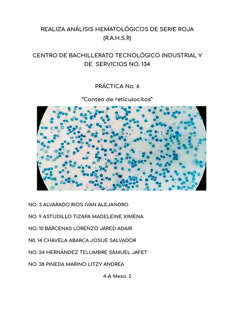 Conteo de Reticulocitos | PDF | Sangre | Especialidades Medicas