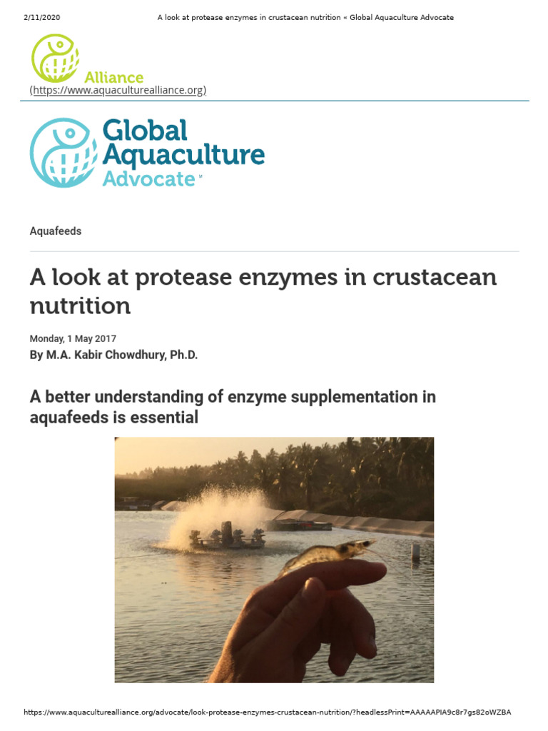 Look Protease Enzymes Crustacean Nutrition | PDF | Digestion | Enzyme