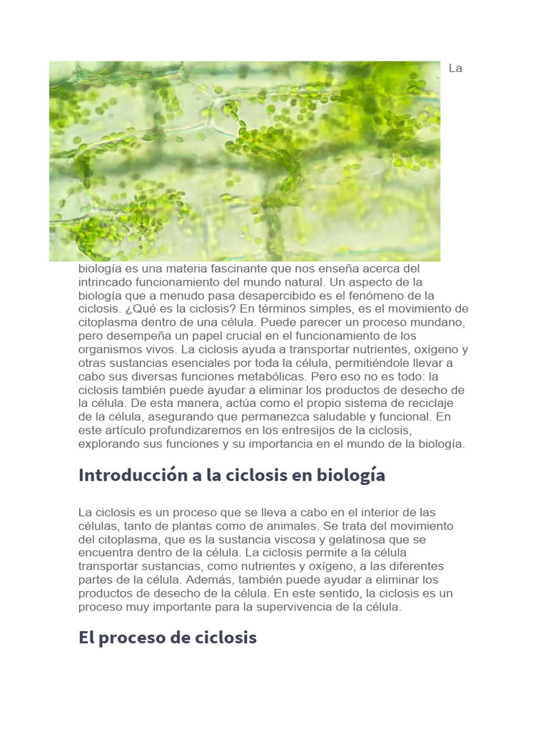Ciclosis | PDF | Biología Celular) | Citoplasma
