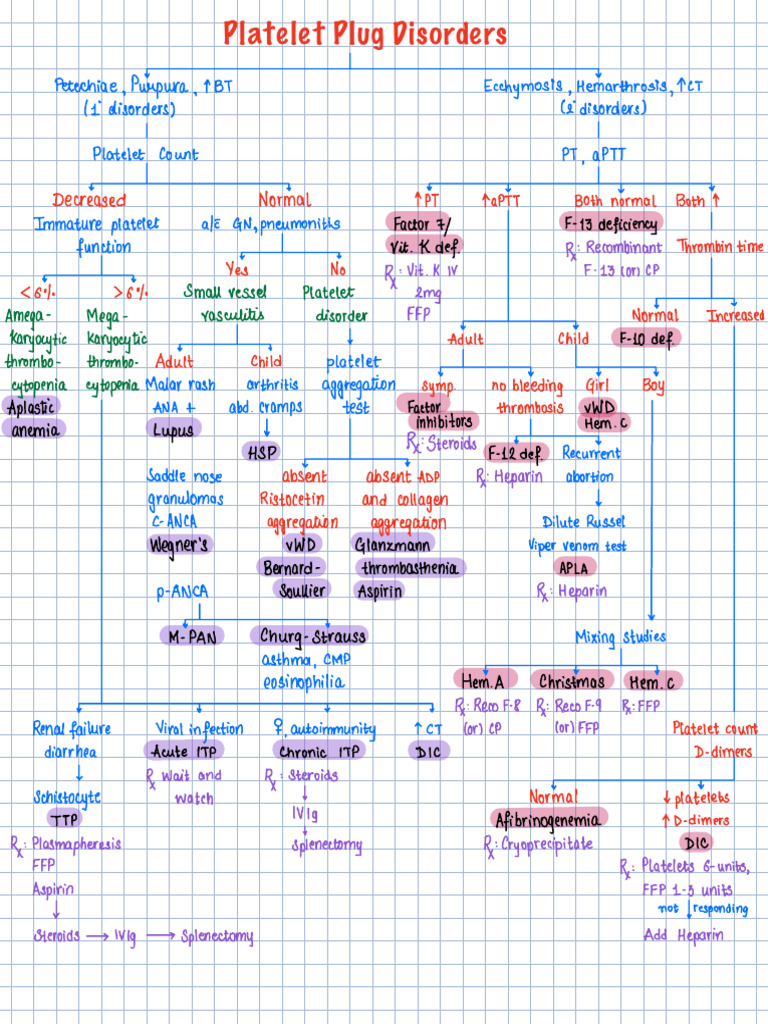 Platelet Plug Disorders | PDF | Platelet | Hematology