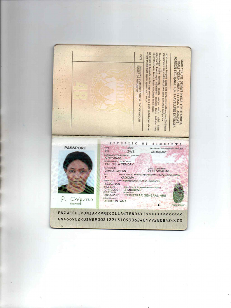 Passport | PDF