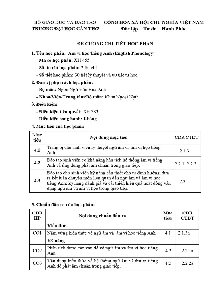 De Cuong Chi Tiet | PDF