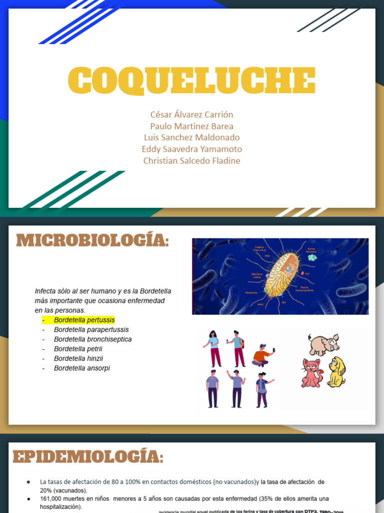 COQUELUCHE | PDF | Tos | Medicina