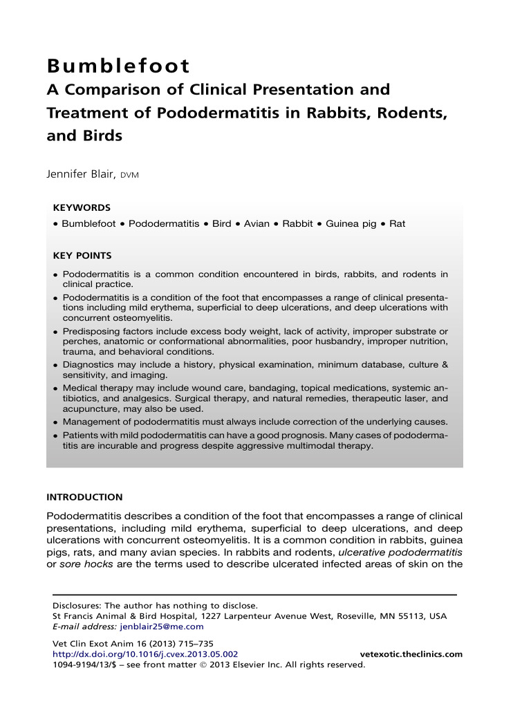 Bumblefoot | PDF | Clinical Medicine
