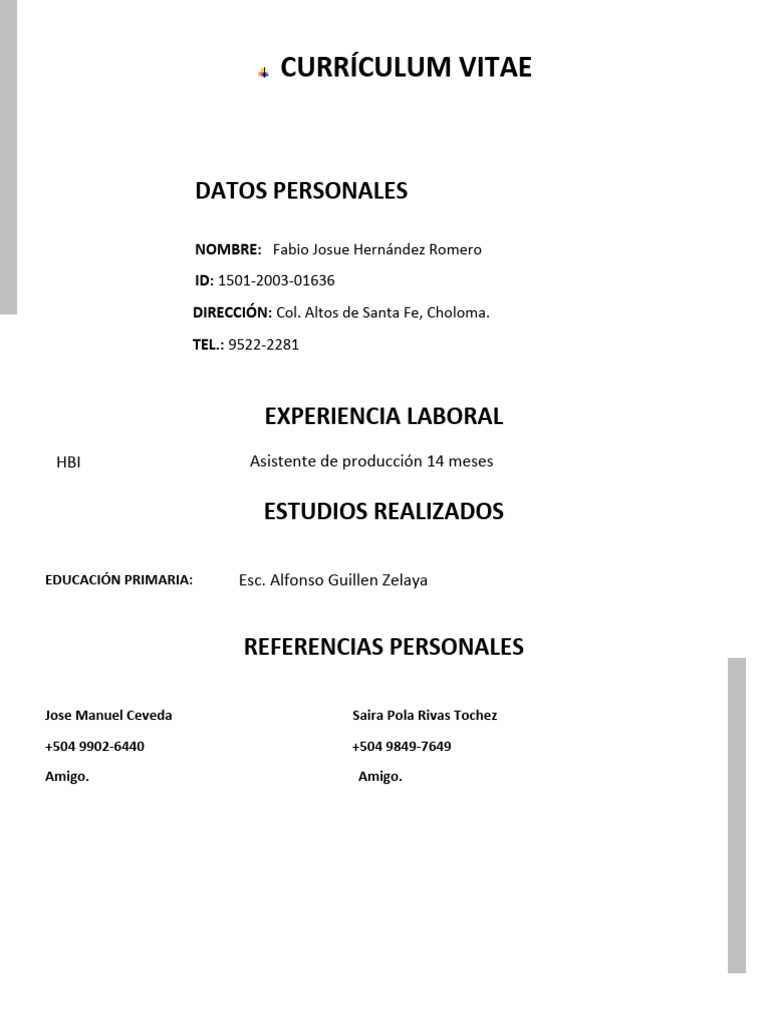 CURRICULUM Nuevo Fabio | PDF