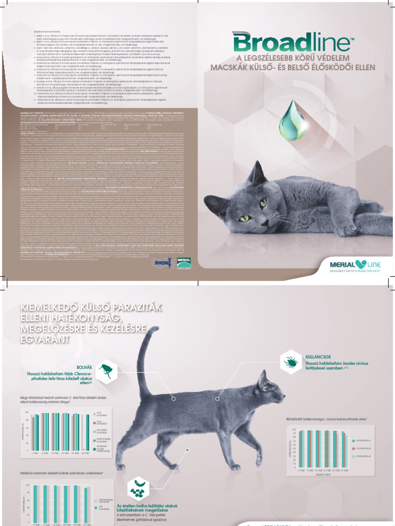 Broadline prospektus | PDF