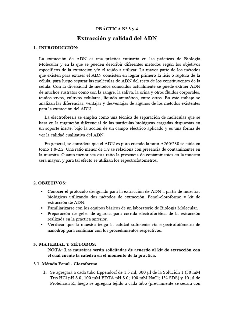 Práctica 3 y 4 | PDF | Electroforesis | Biología Molecular
