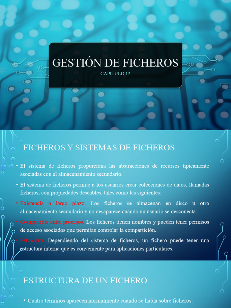 Gestión de Ficheros | Descargar gratis PDF | Archivo de computadora | De entrada y salida