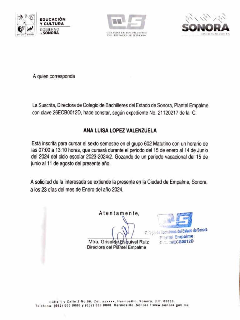 Constancia Lopez Valenzuela Ana Luisa | PDF