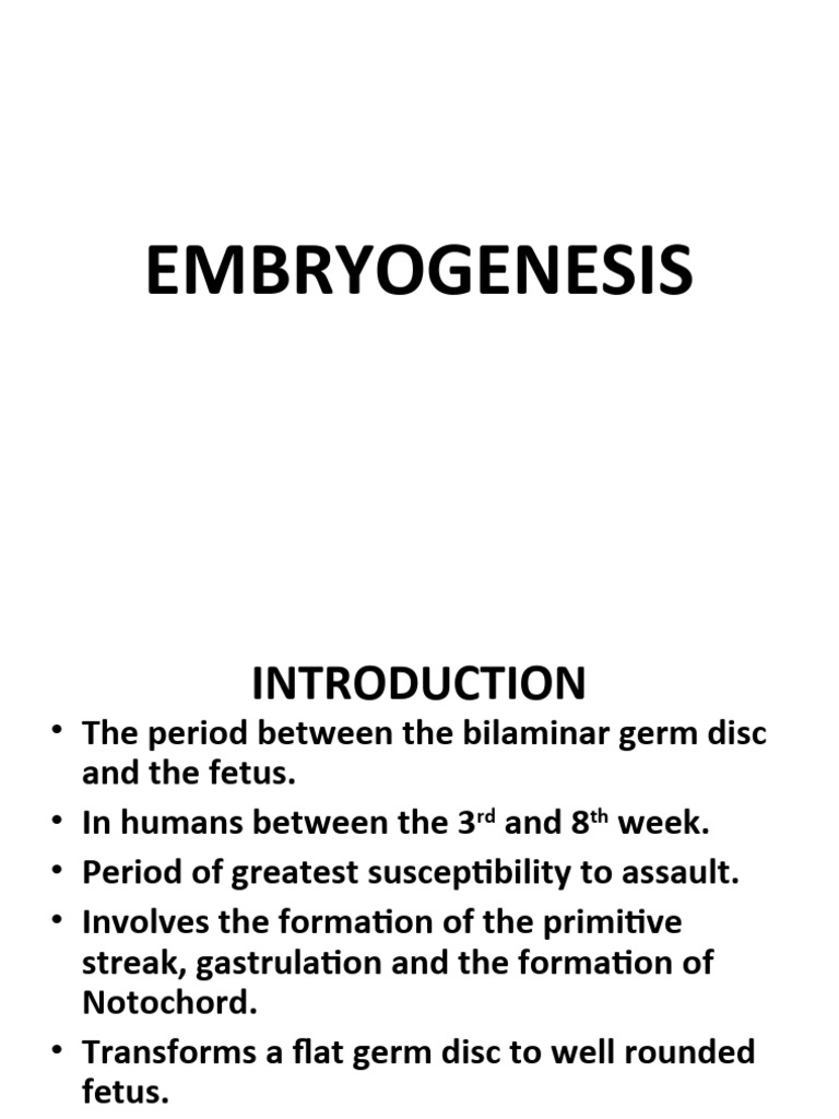 Embryogenesis | PDF | Anatomy | Developmental Biology