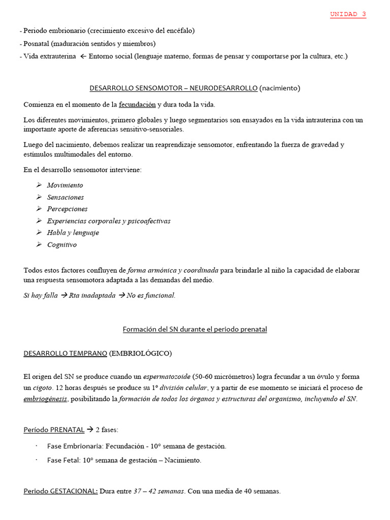 apunte unidad 3 psico | Descargar gratis PDF | Mielina | Neurona