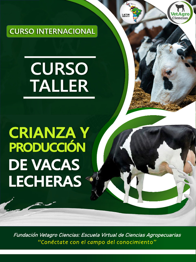 Programa Completo Vacas Lecheras | PDF | Leche | Vacas