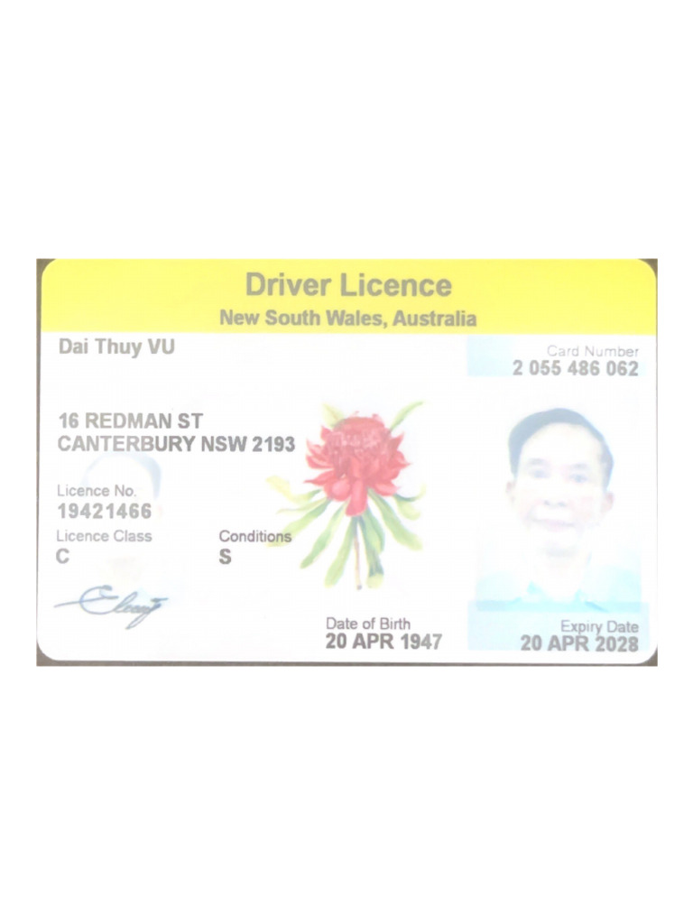Driver Licence 2 | PDF