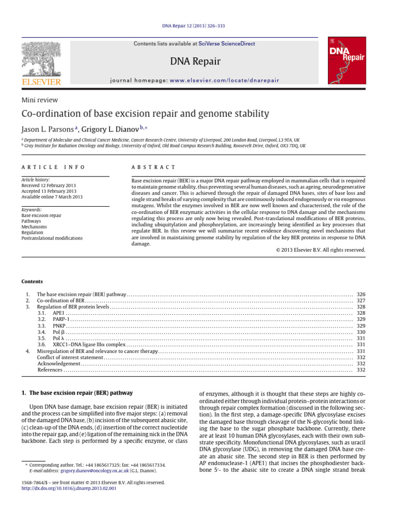 Co Ordination of Base Excision Repair and Genome Stability 2013 DNA Repair | PDF | Ubiquitin ...