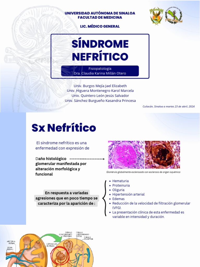 Sindrome nefritico | PDF | Especialidades Medicas | Medicina CLINICA