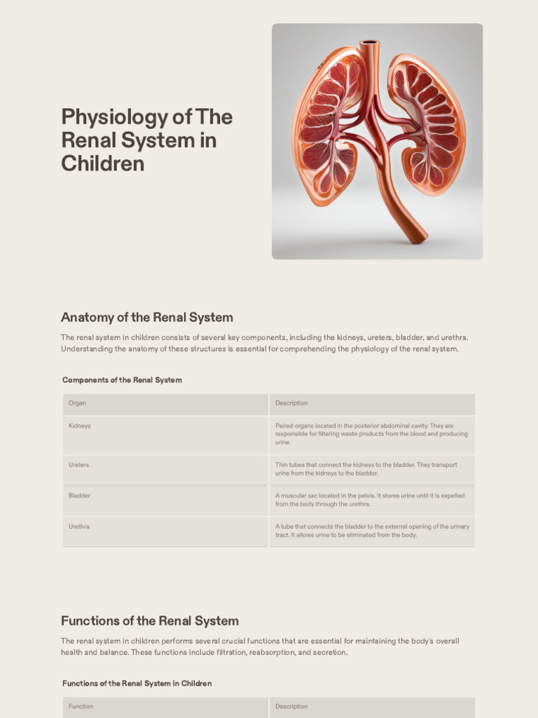 3-Physiology of The Renal System in Children | PDF | Kidney | Urinary ...