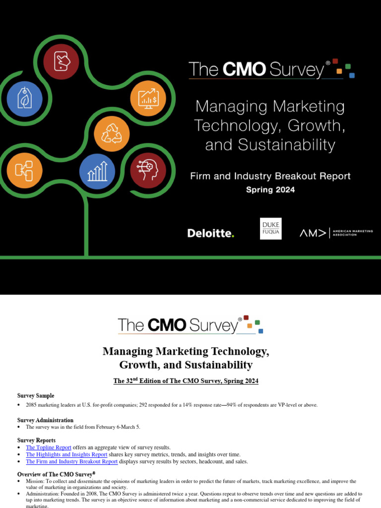 The CMO Survey-Firm and Industry Breakout Report-Spring 2024 | PDF ...