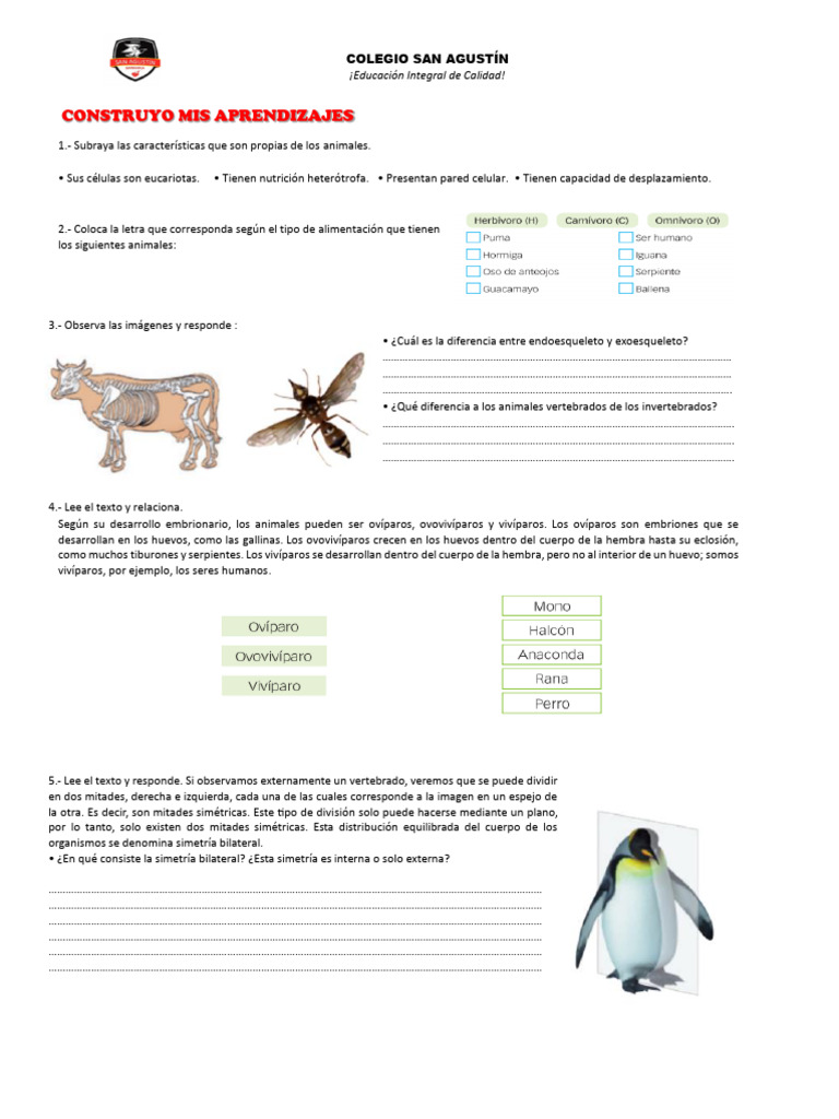 Ficha Caracteristicas de Los Animales | PDF | Huevo | Embrión