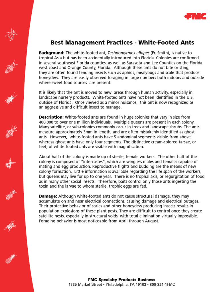 Best Management Practices - White-Footed Ants | PDF | Ant | Zoology