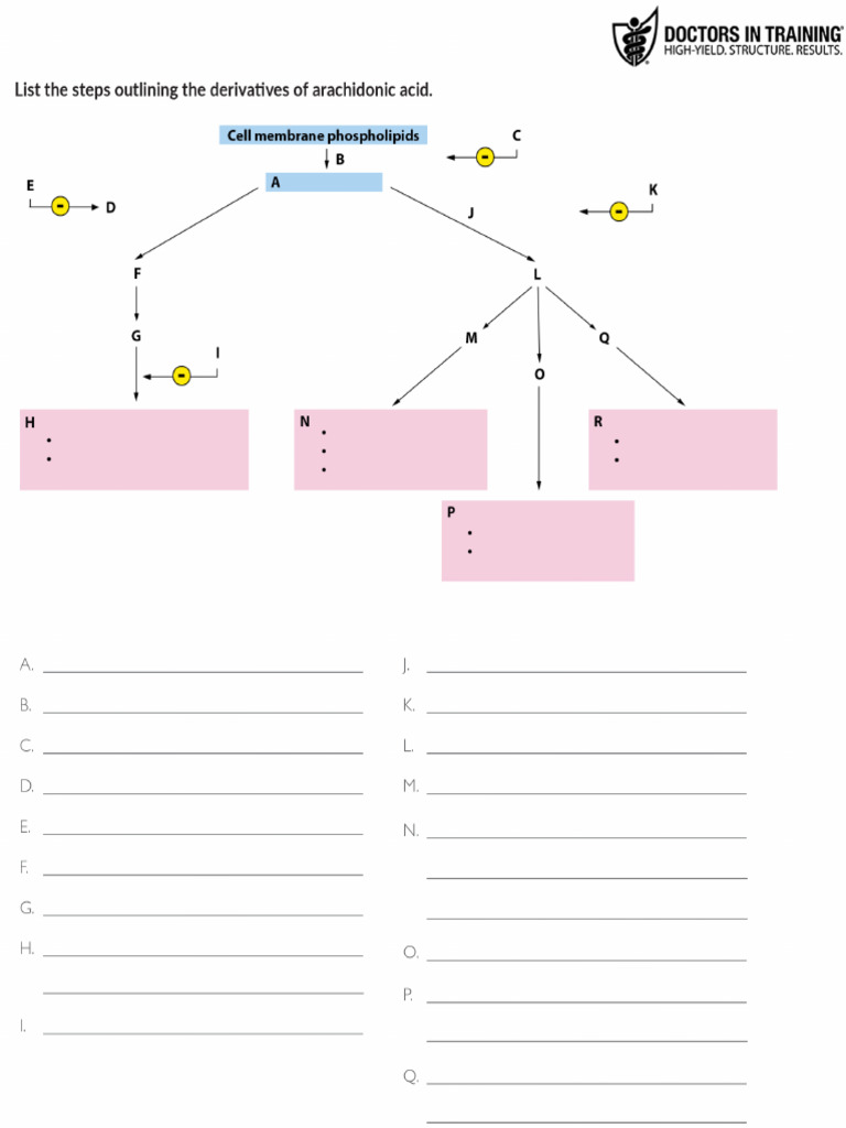 1E Foundations 5 | PDF