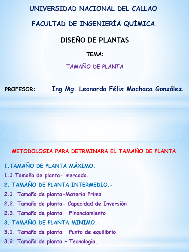 Tamaño de Planta 2020B Clase2 | PDF | Comercio | Economias