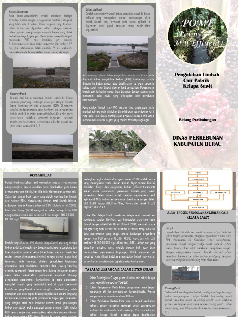 Leaflet Pome Baru | PDF