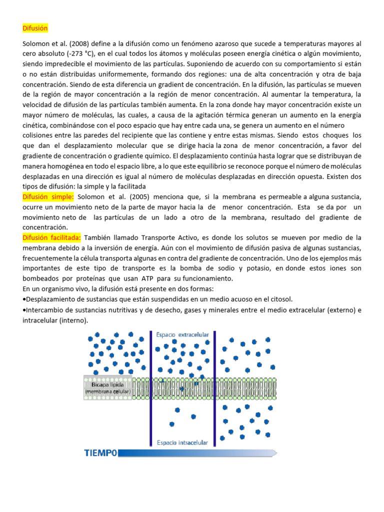 Difusión y Osmosis | PDF | Difusión | Biología Celular