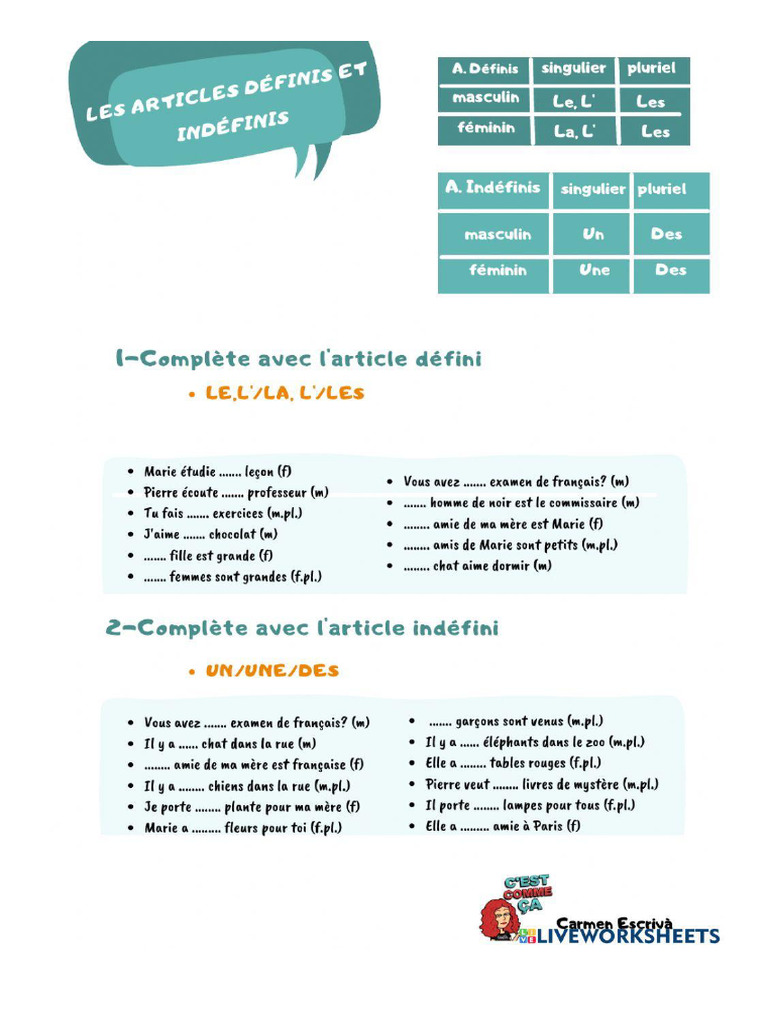Les Articles Definis Et Indefinis | PDF