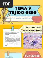 Definición de Osteona en Hueso Compacto | PDF | Hueso | Morfología ...