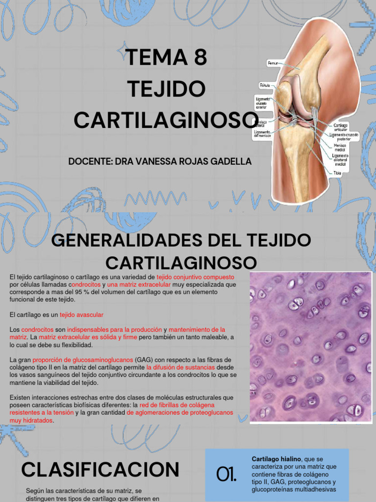 Tema 8 Tejido Cartilaginoso | PDF | Cartílago | La matriz extracelular